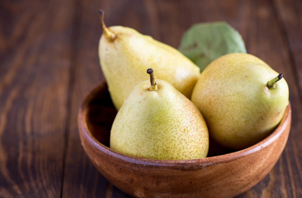 Cara Menanam Buah Pir Dalam Pot | KampusTani.Com