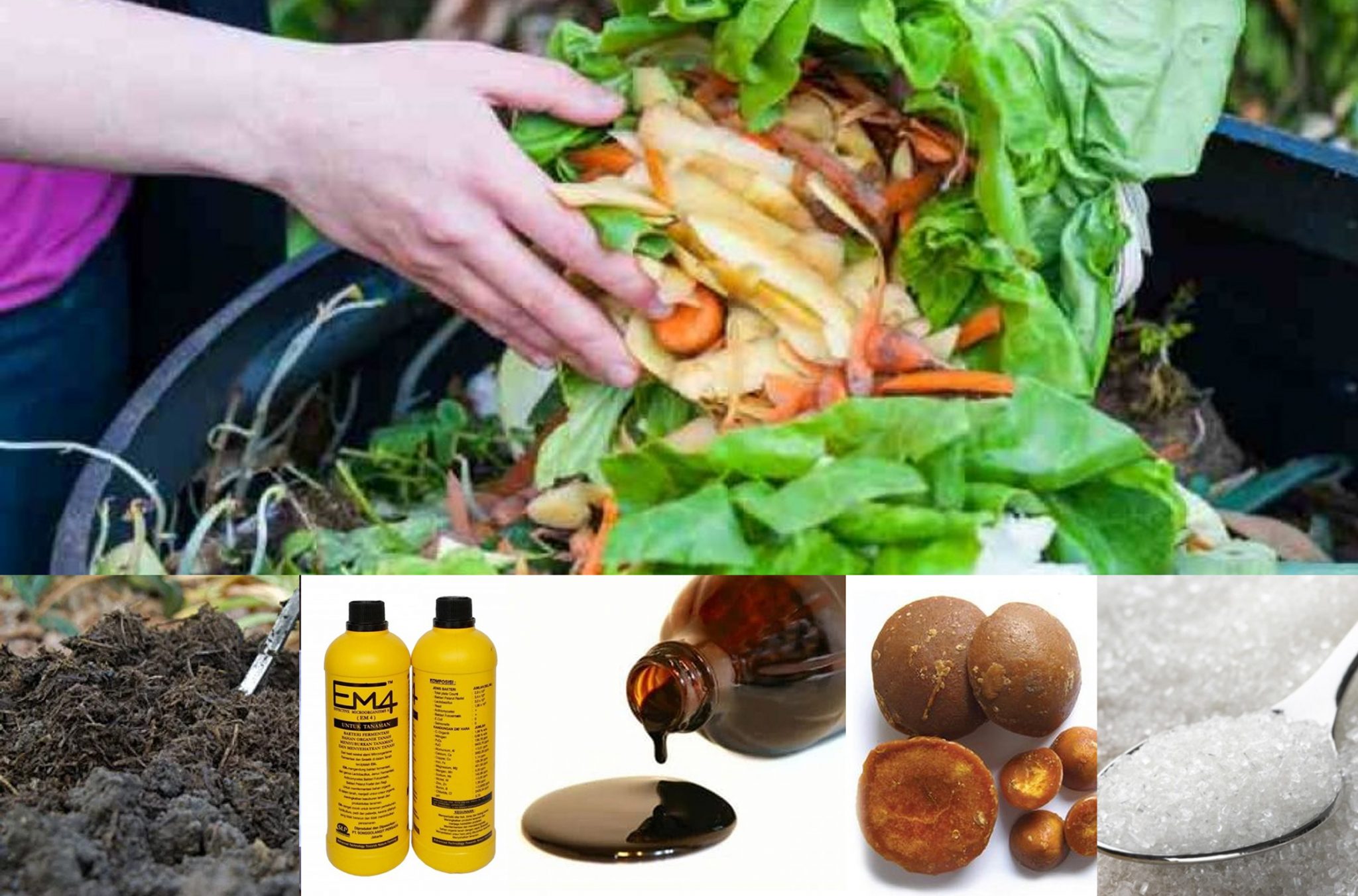 Cara Membuat Pupuk Kompos Dari Bahan Disekitar Rumah Teori Petani - Riset