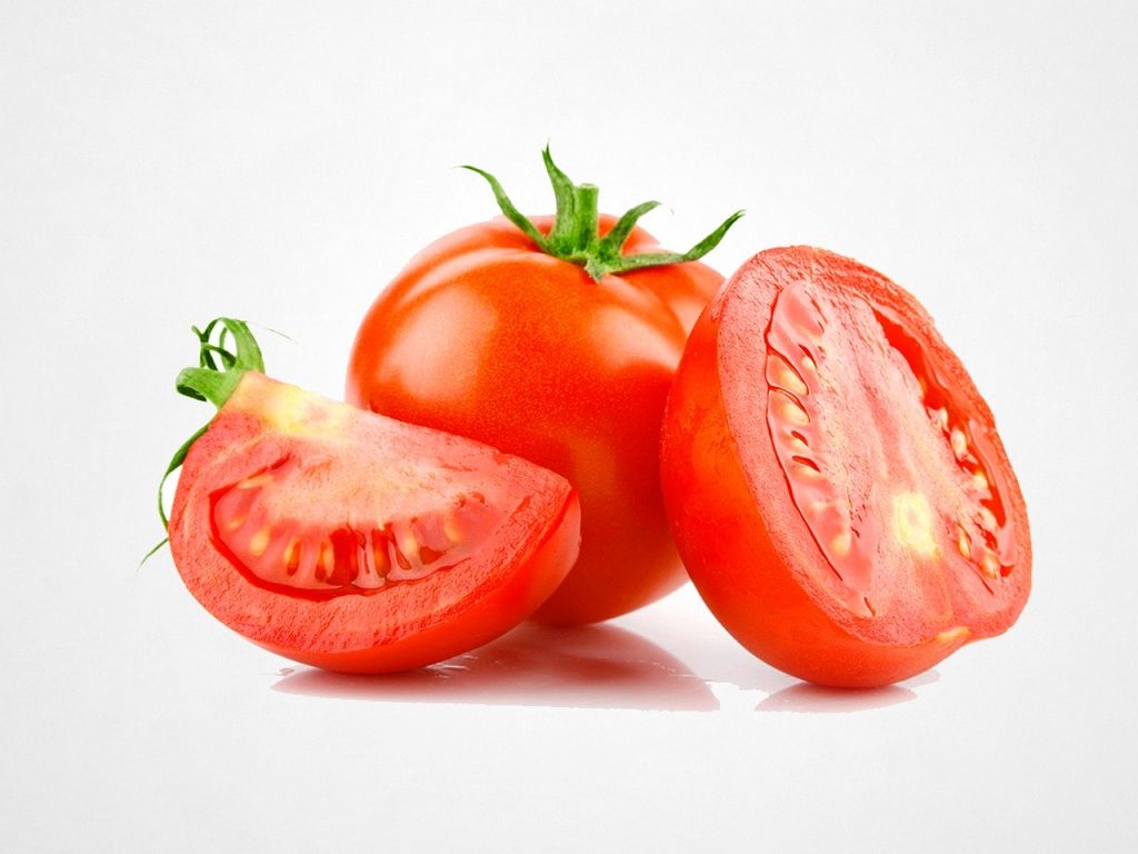 Cara Menanam Tomat dari Buahnya | KampusTani.Com