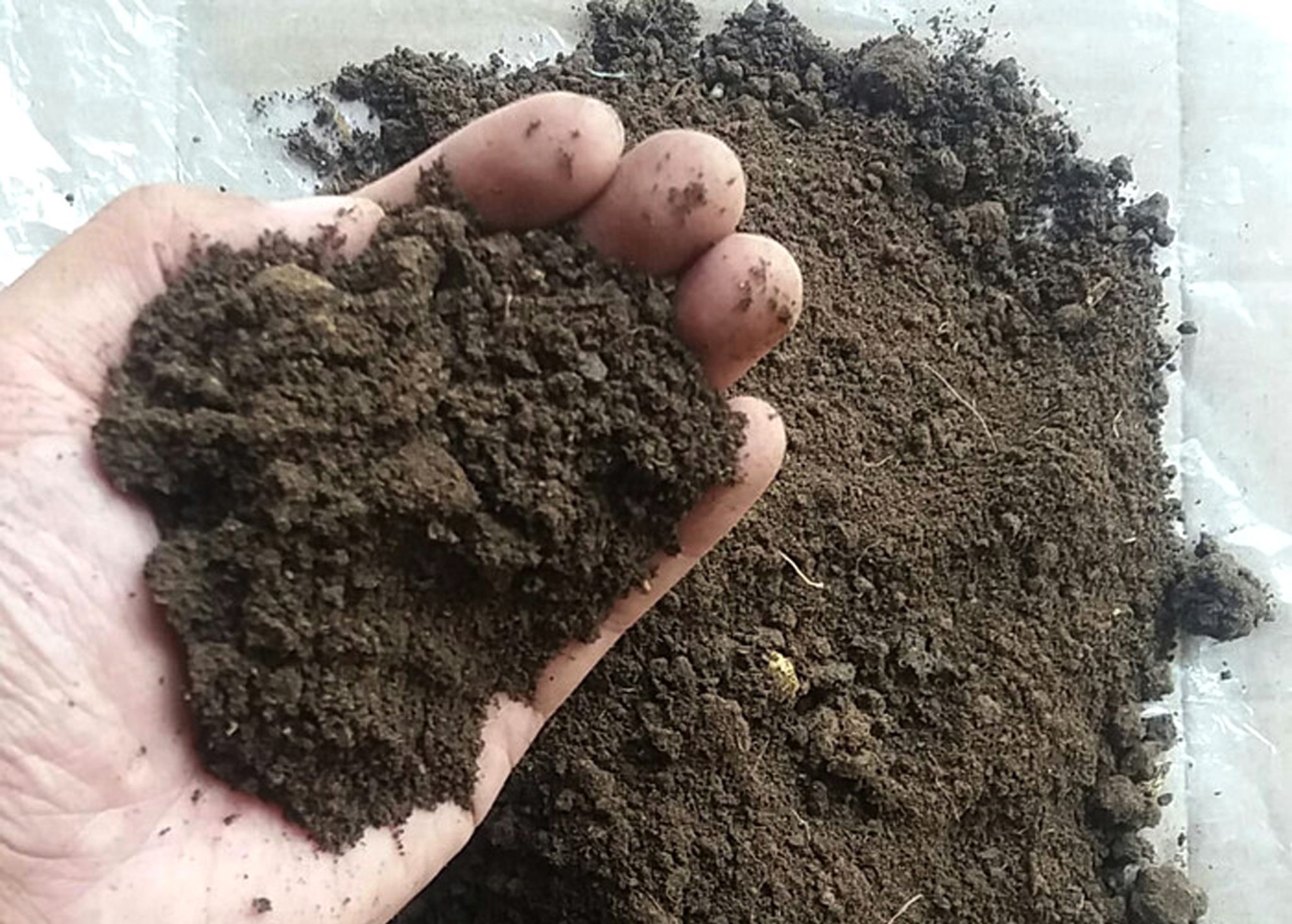 My Earth Cara Membuat Pupuk Kompos Sederhana - Riset