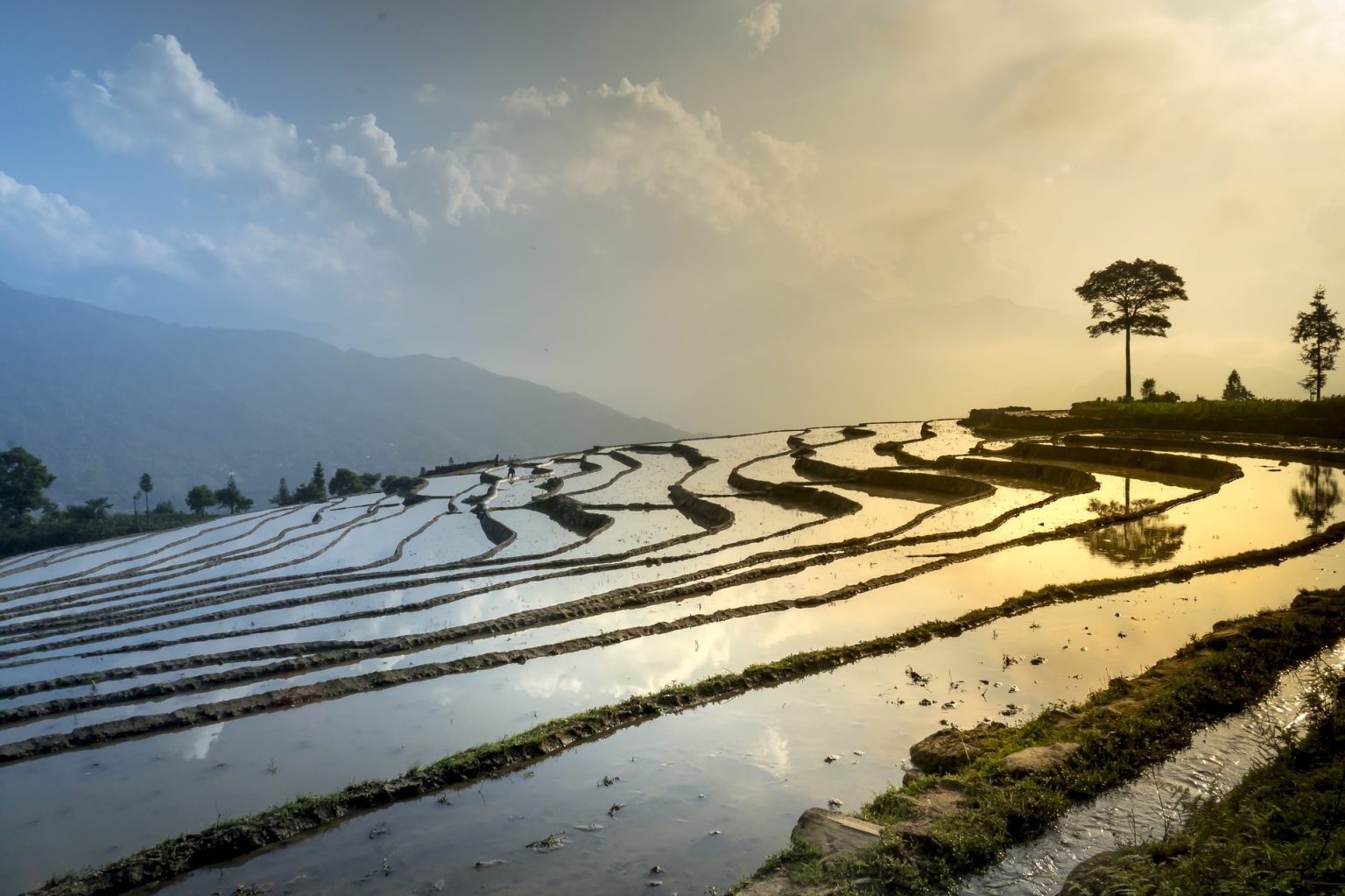 menurunkan ph tanah basa | KampusTani.Com