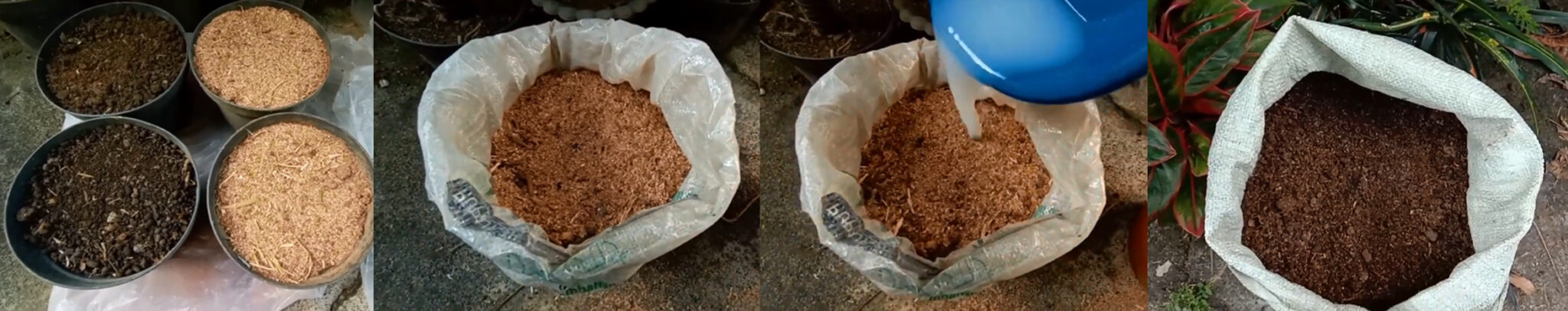 Cara Membuat Media Tanam dari Serbuk Gergaji | KampusTani.Com