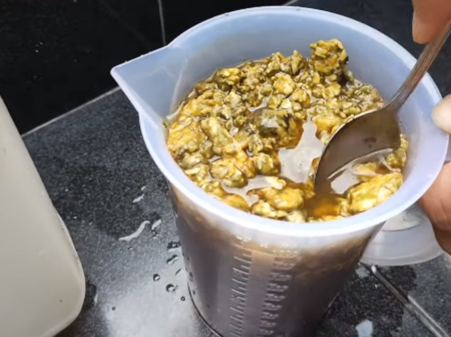 Cara Membuat Trichoderma Cair | KampusTani.Com