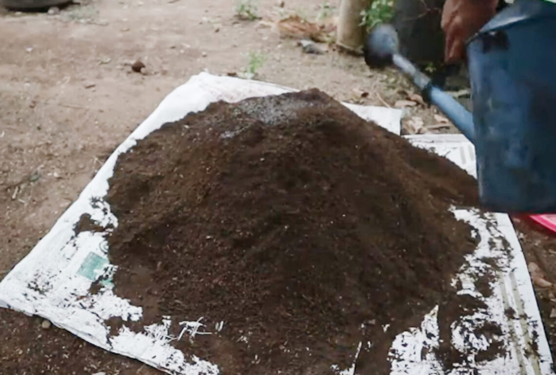 Cara Membuat Vermikompos | KampusTani.Com