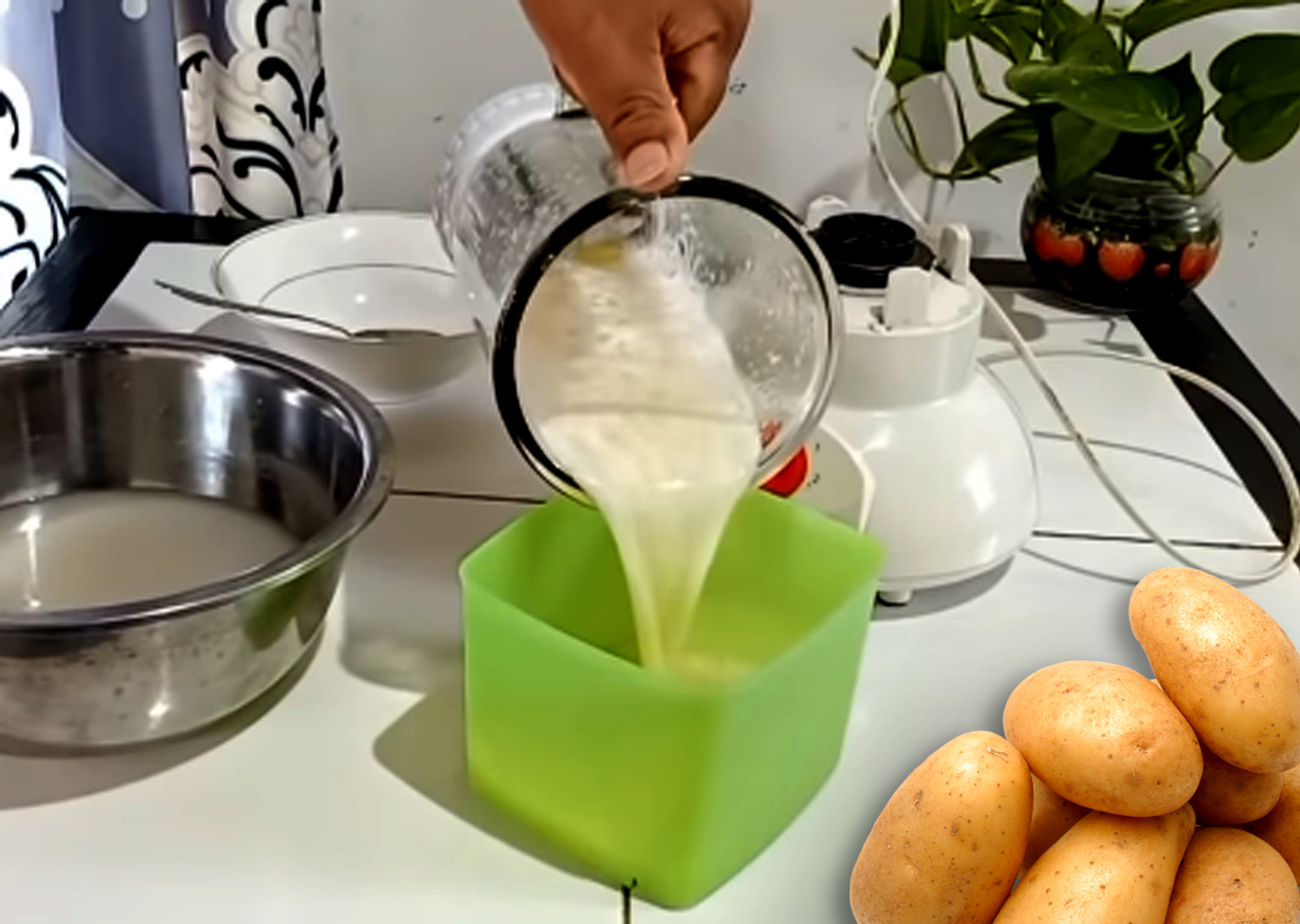 Membuat Pupuk Organik Perangsang Bunga dan Buah dari Kentang ... Membuat Pupuk Organik Perangsang Bunga dan Buah dari Kentang ...