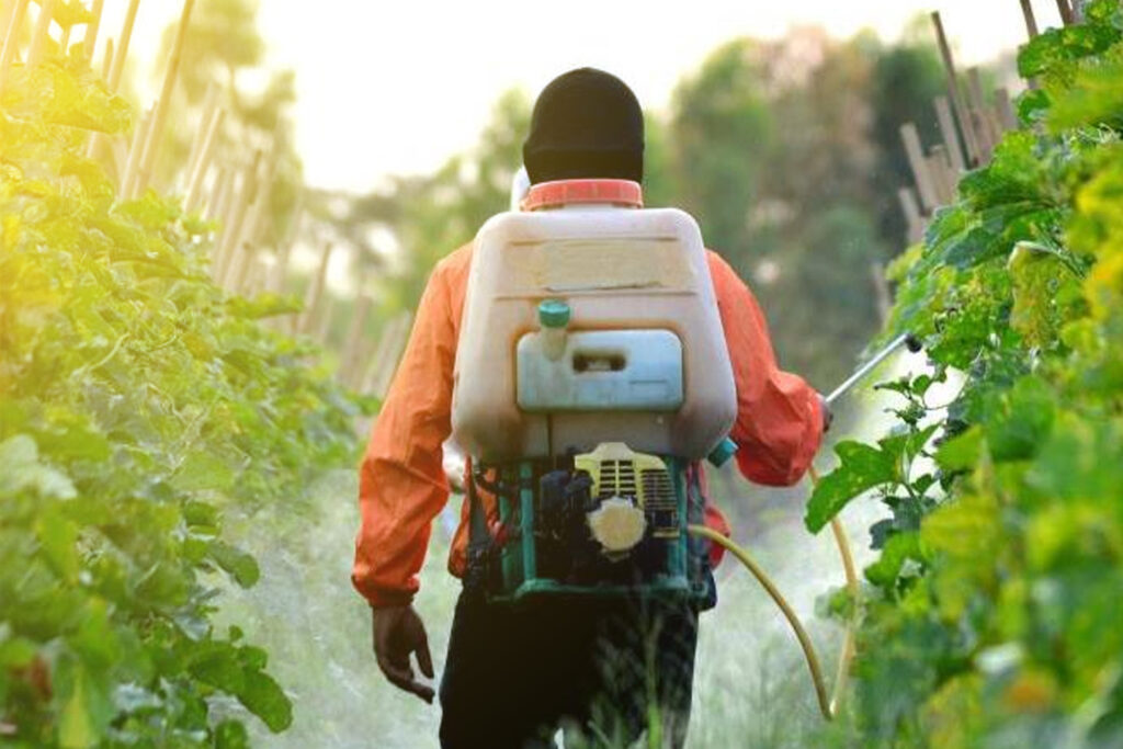 Pertolongan Pertama Pada Keracunan Pestisida | KampusTani.Com